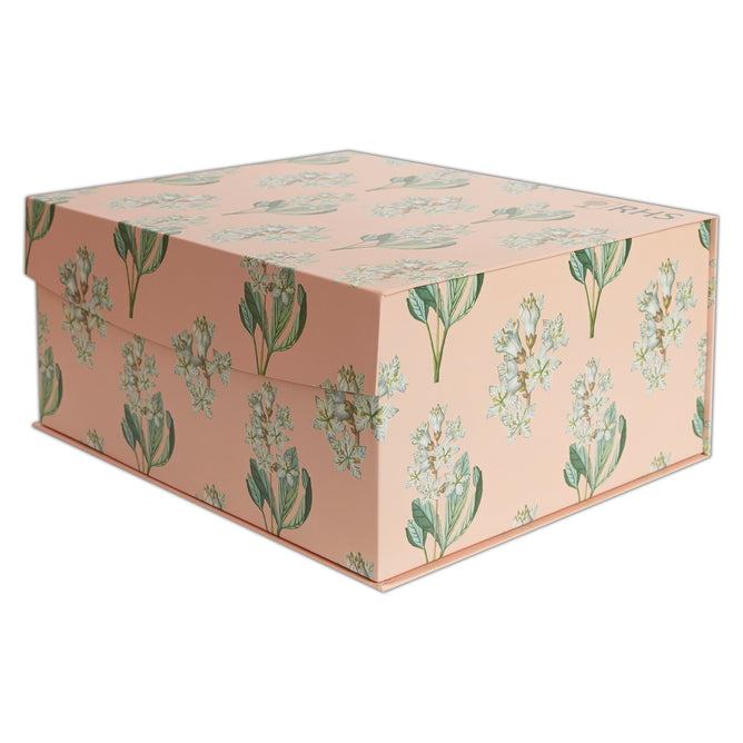 RHS Cardboard Storage Box Large, Geissler Design, Storage, Gift Boxes,